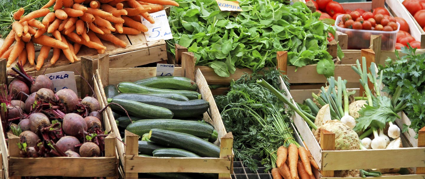 Visualise This! Enterprises in Belli Park, QLD, Health Markets - TrueLocal